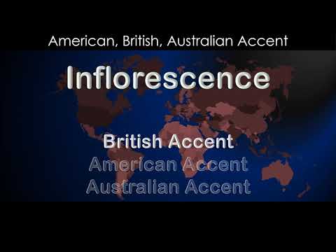 Inflorescence   How to Pronounce Inflorescence in British Accent, Australian Accent?