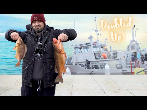 S2 E6 : SALTWATER fishing on a CHARTER | MARINA DEL REY