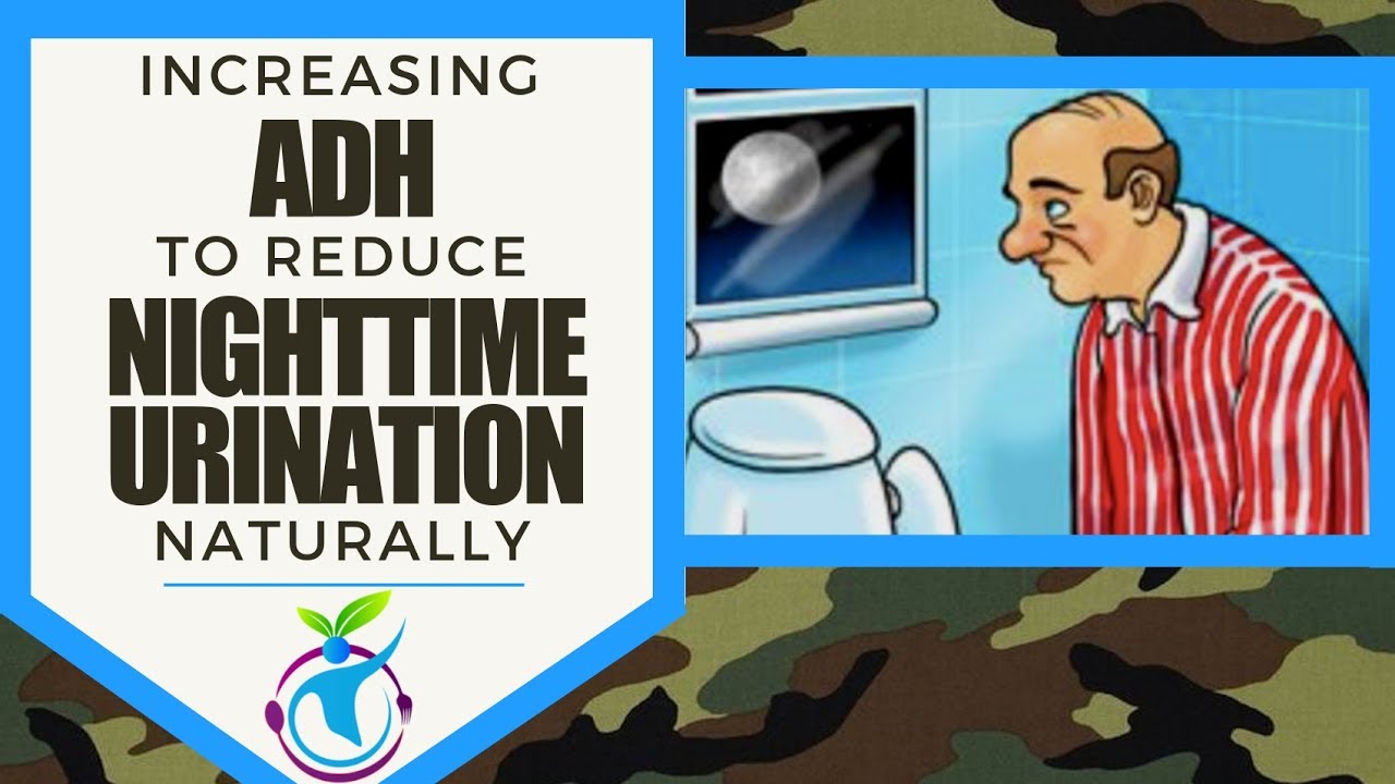 Increasing ADH to Reduce Nighttime Urination Naturally