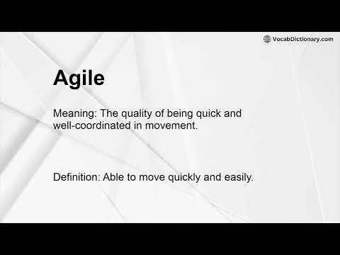 Agile Meaning