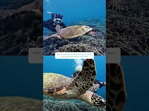 HAVING A DIVE BUDDY THAT MATCHES YOUR ENERGY IS THE BEST THING EVER!