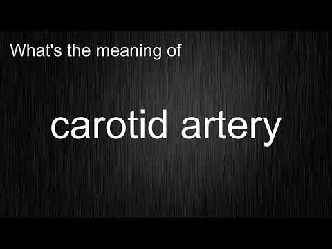 What's the meaning of "carotid artery", How to pronounce carotid artery?