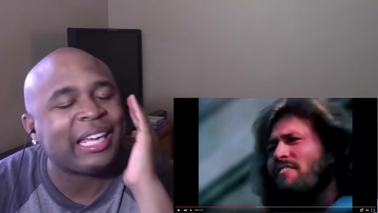 Turtle Remix Compilation REACTION! [Re-Upload]