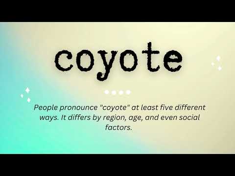 Coyote Pronunciation (American English)