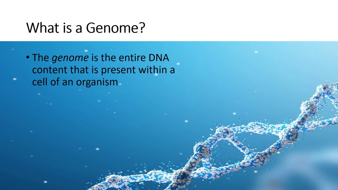 Module 1 What is Genome Sciences