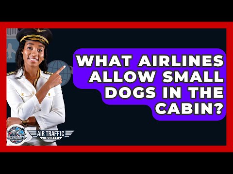 What Airlines Allow Small Dogs In The Cabin? - Air Traffic Insider