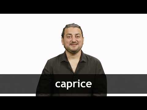 English Translation of “CAPRICE” | Collins French-English Dictionary