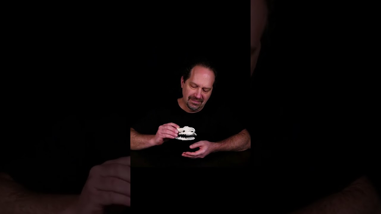 Finished the Python Skull!