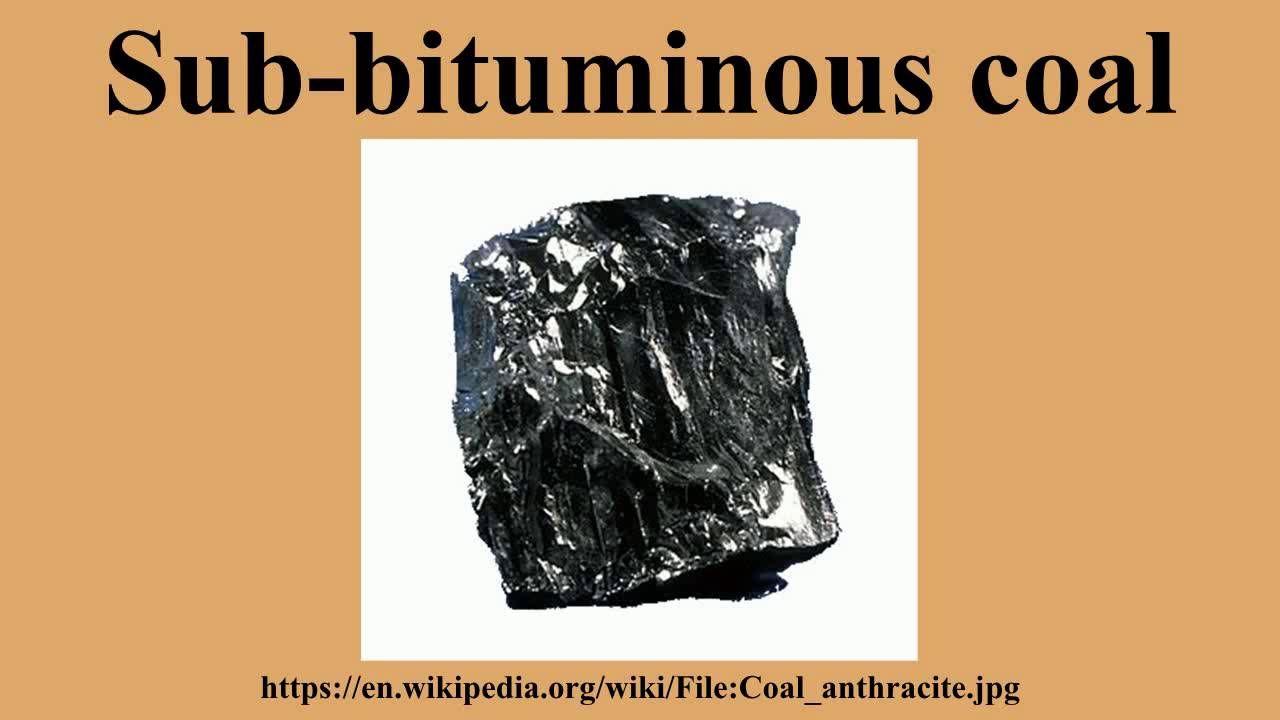 Sub-bituminous coal