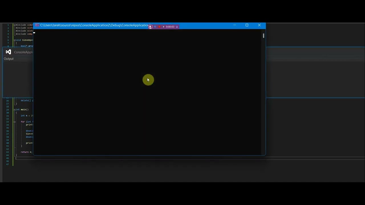 Parallel Computing Project (parallel Execution)
