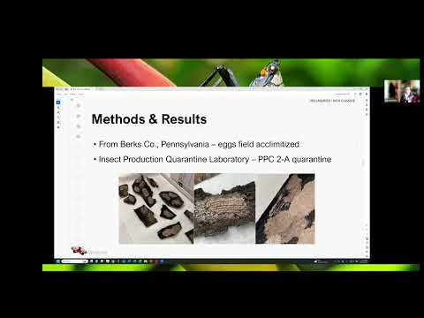 Spotted Lanternfly Summit 2025 Research Updates