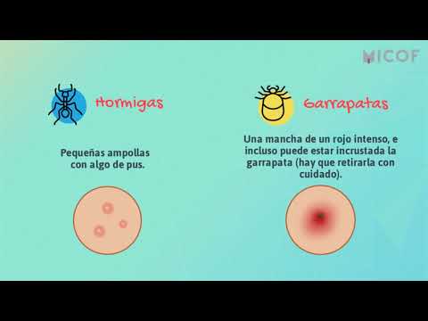 Tipos de picaduras