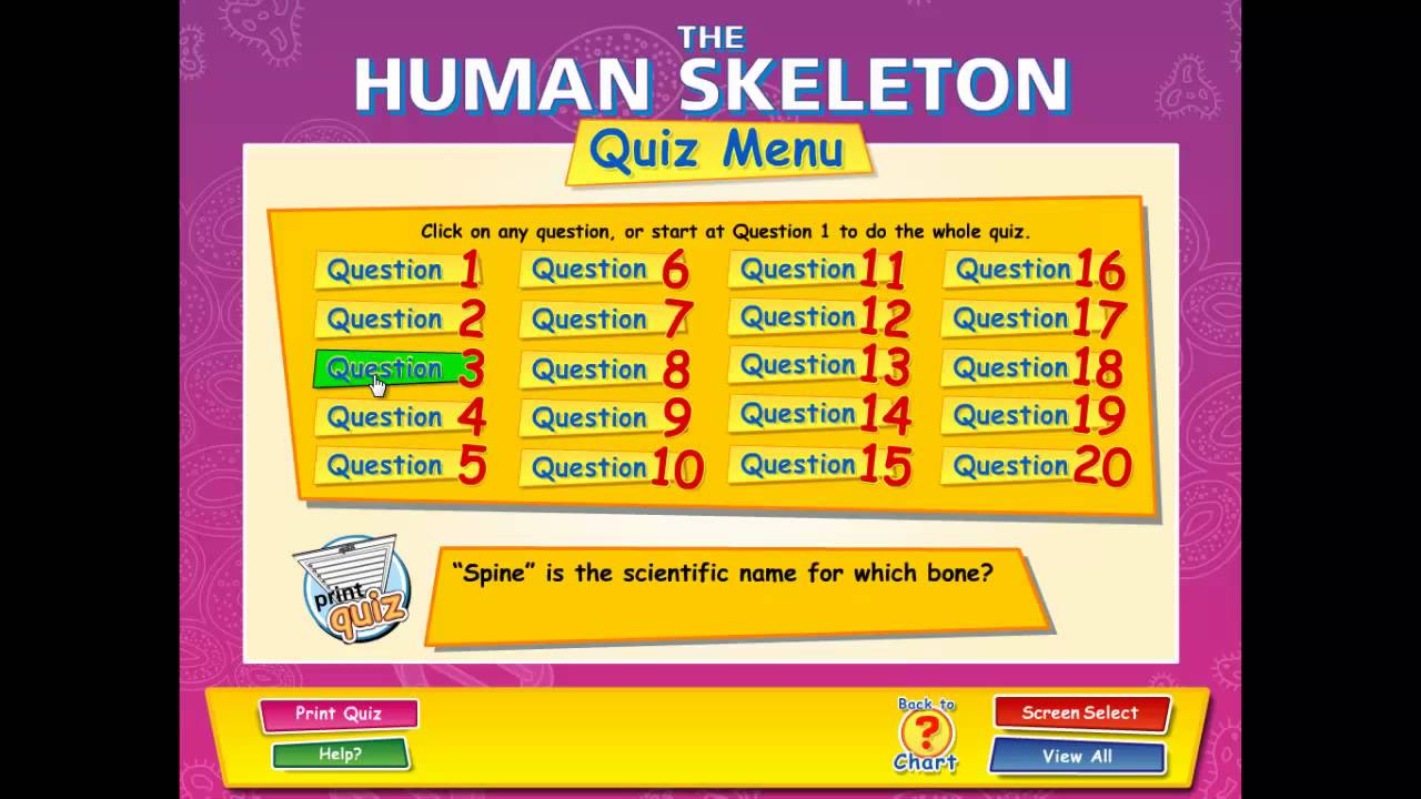 Science Interactive Whiteboard Chart
