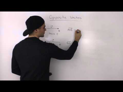 opposite vectors