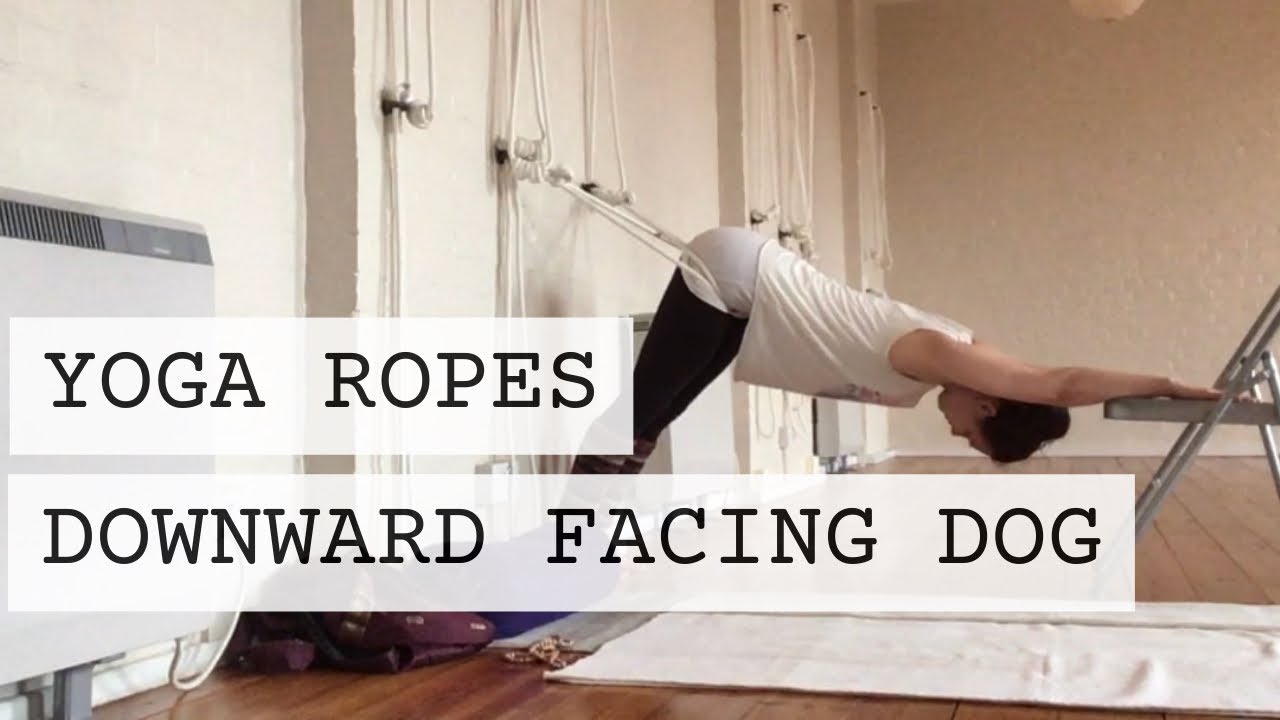 Downward Facing Dog with Yoga Ropes
