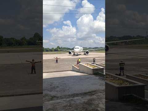 Airport Crew Men signalling Pilot parking the plane
