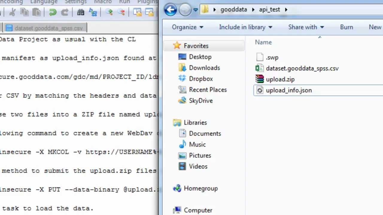 GoodData API - Loading Data