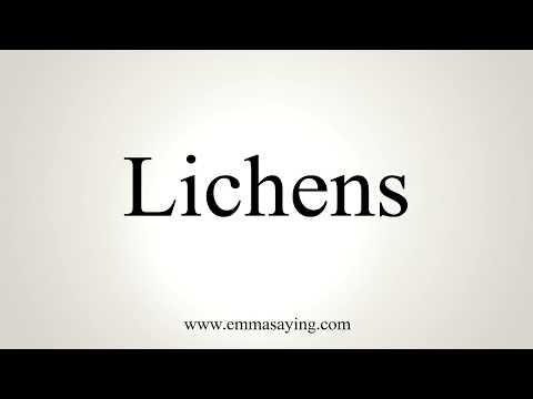 How To Pronounce Lichens