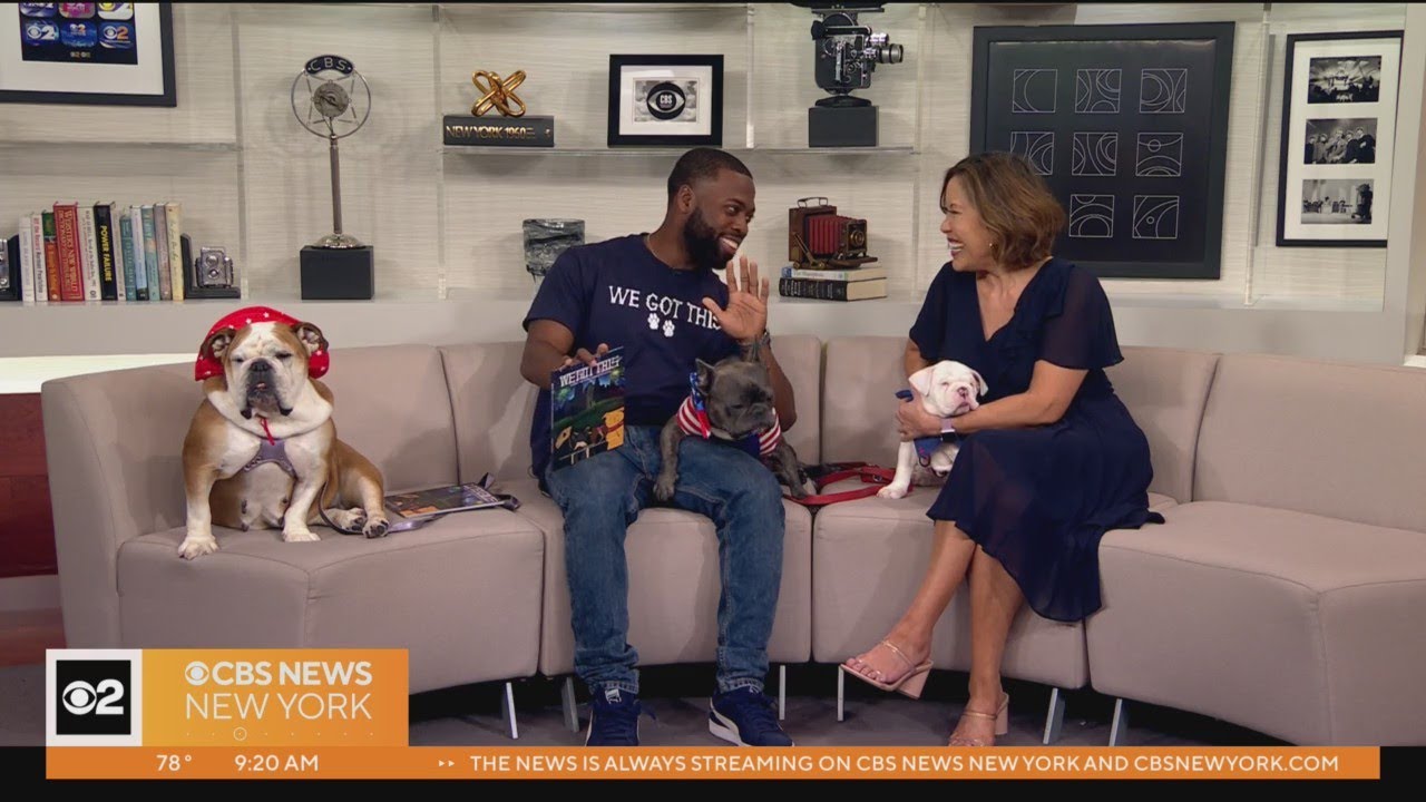 Author Kyle Phipps discusses his book about dogs and fireworks
