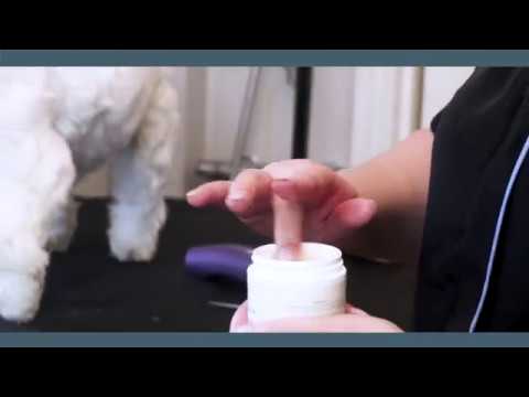 How to apply Paw & Nose Balm Tutorial