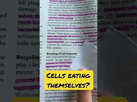 Physiology quiz #40 Review med textbooks! StudyThis!
