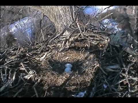 Dad Flies in --Twice!
