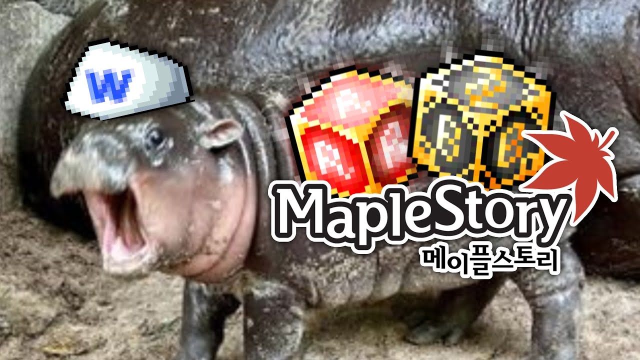 MapleStory Cube Compensation Refund!! 3.1% Red, 6.6% Black Cubes!