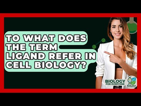 To What Does The Term Ligand Refer In Cell Biology? - Biology For Everyone