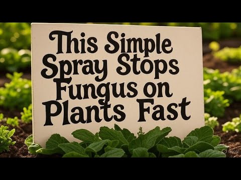 This Simple Spray Stops Fungus on Plants Fast