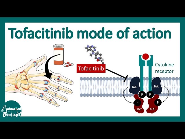 Rheumatoid Arthritis Drugs - 1 - Tofacitinib 5mg Tablet, Inflammatory ...