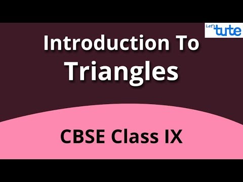 Introduction and Types Of Triangles Video Lecture - Class 9