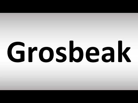 How to Pronounce Grosbeak?
