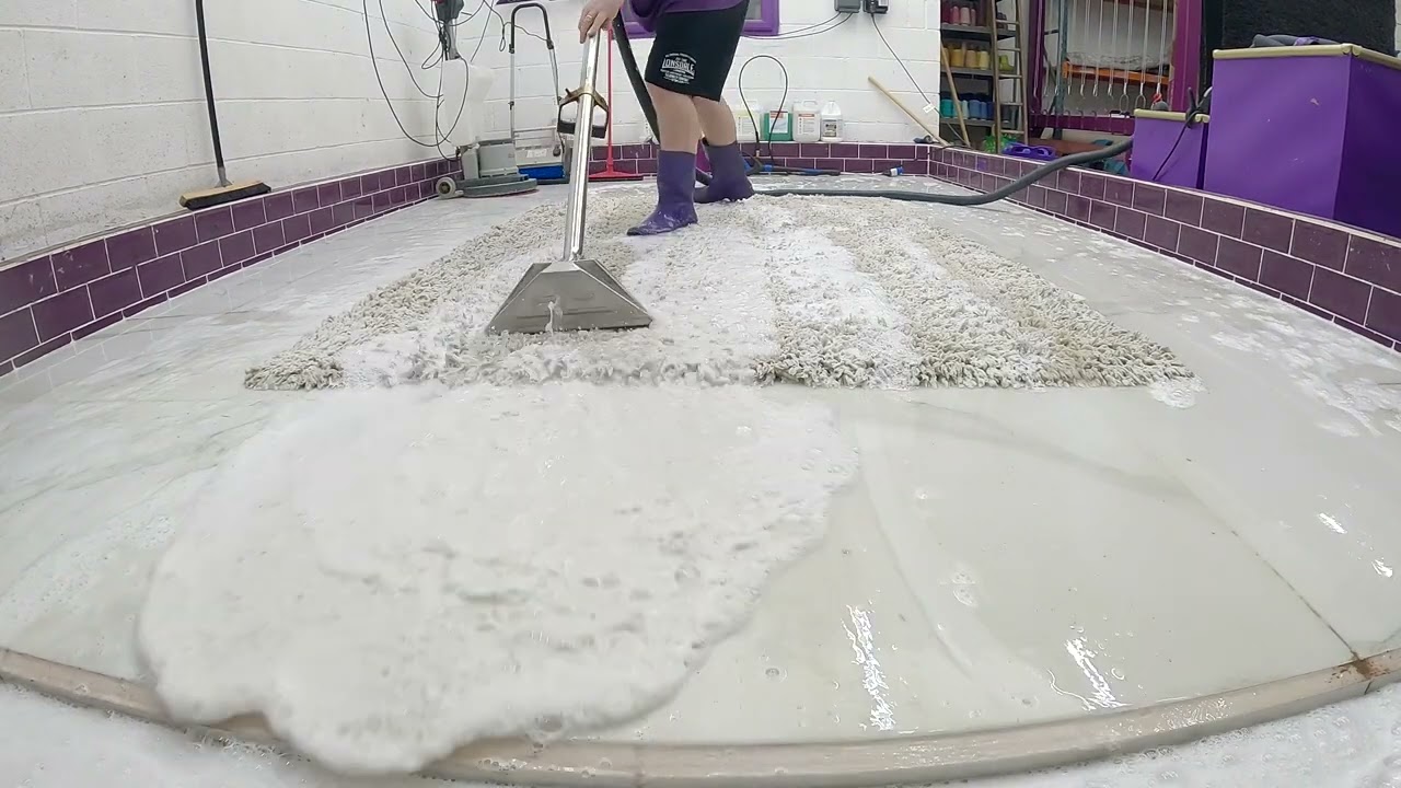 Rug Cleaning Videos - Arcadia Rug Spa
