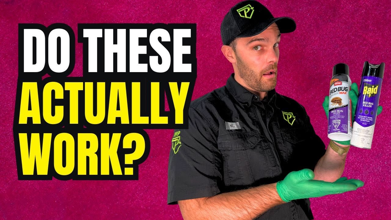 Bedbug Spray: Raid vs Ortho Do They Actually Work?