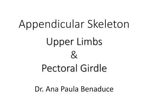 Dr. Benaduce: Upper Appendicular Skeleton (Complete Lecture)