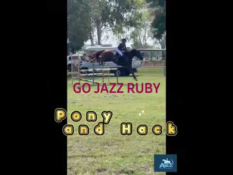 GO JAZZ RUBY Jazz x Salute/Thoroughbred Mare #showjumping #australianwarmblood