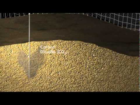 Carbon Capture & Sequestration