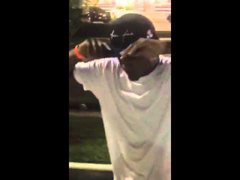 IMG 7664
