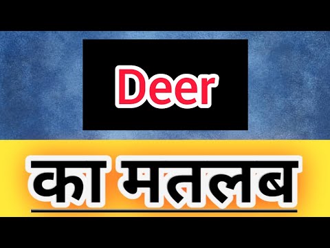 Deer meaning in hindi || Deer ka matlab kya hota hai || word meaning english to hindi