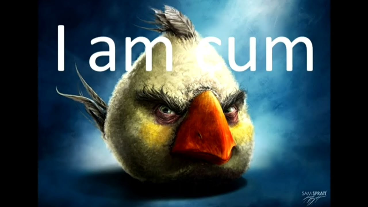 Shitpost Status Compilation 6