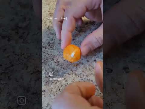 My Favorite Trick to Give My Dog a Pill