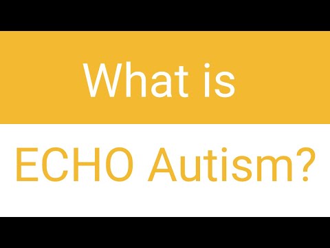 What is ECHO Autism