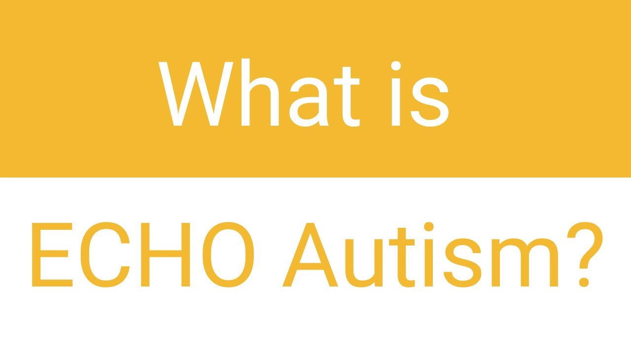 What is ECHO Autism