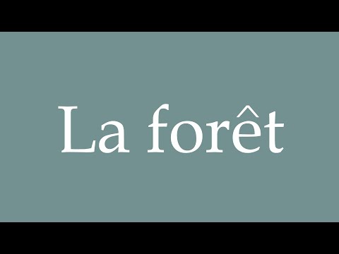 How to Pronounce ''La forêt'' (The forest) Correctly in French