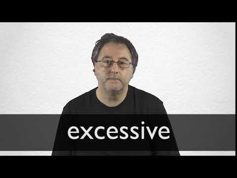How to pronounce EXCESSIVE in British English