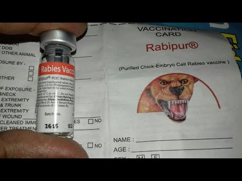 Rabipur Injection - Latest Price, Dealers & Retailers in India