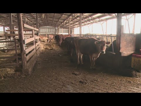 Maine farmers push for tens of millions to help with PFAS crisis