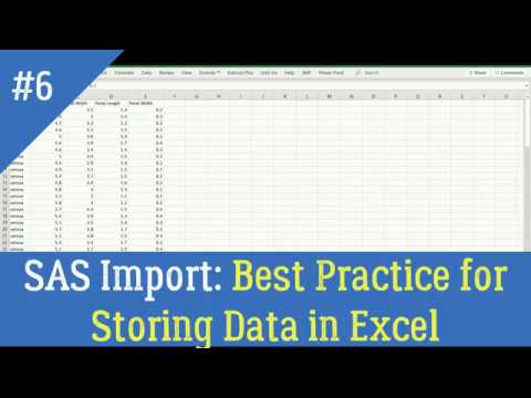 Best Practice in Excel for SAS