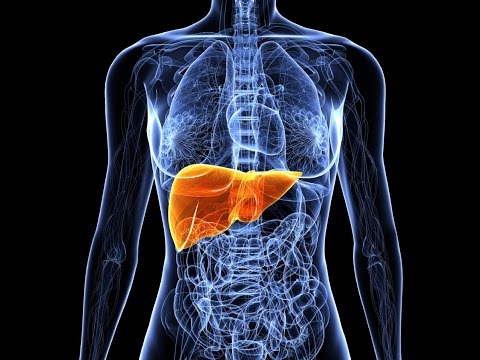 Primary Biliary Cirrhosis