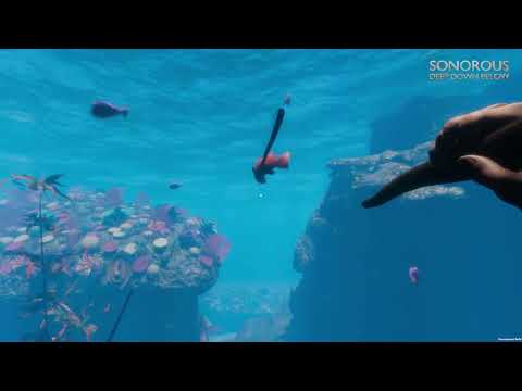 Steam Community :: Video :: Sonorous Deep Down Below - Hunting